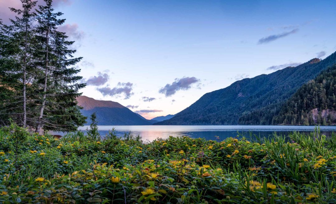 The full story of my quick trip to Olympic National Park - Andy's ...