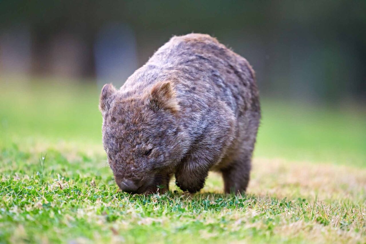 The new AI-Powered Photo Editing Software I Used to Instantly Edit my ...